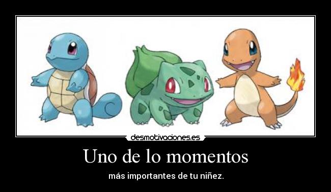Imágenes y Carteles de SQUIRTLE Pag. 12 | Desmotivaciones