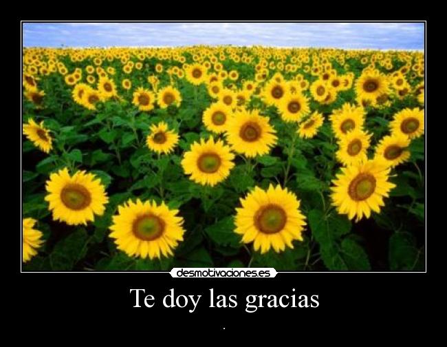 Te doy las gracias | Desmotivaciones