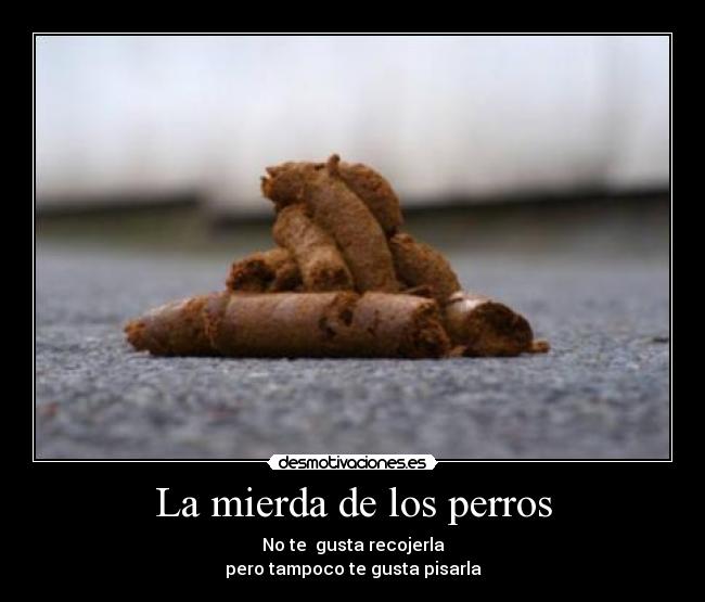 La Mierda De Los Perros Desmotivaciones