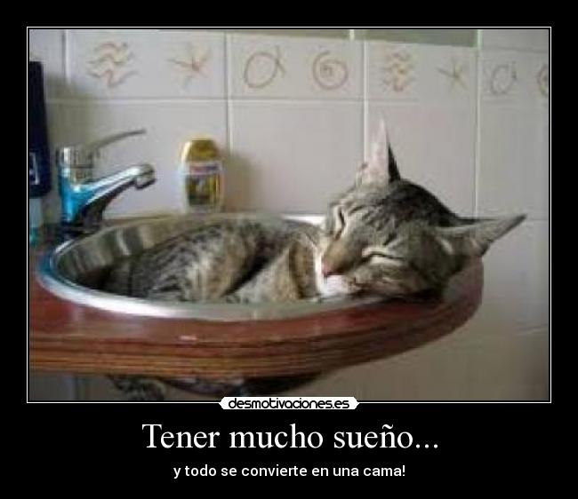 Tener Mucho Sueño Desmotivaciones