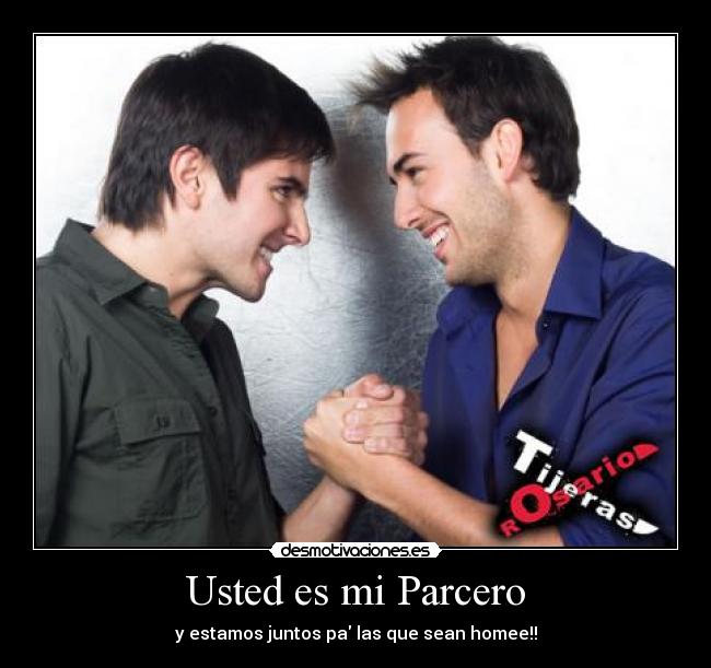 Imágenes Y Carteles De Parcero Desmotivaciones