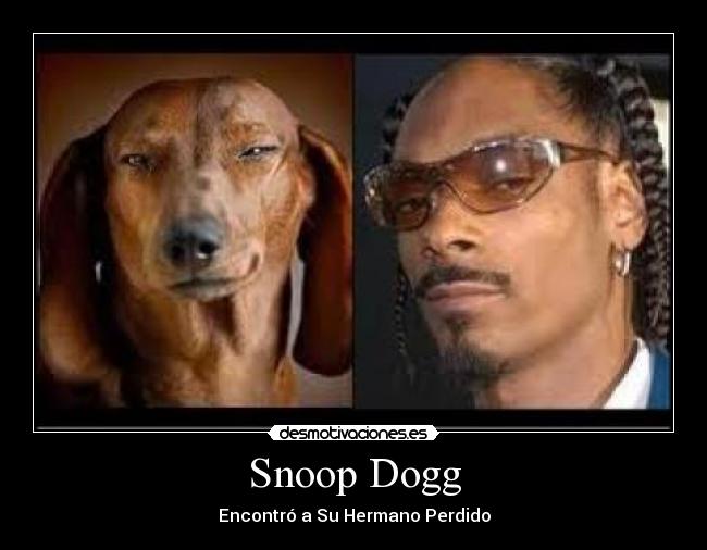 Snoop Dogg | Desmotivaciones Snoop Dogg | Desmotivaciones