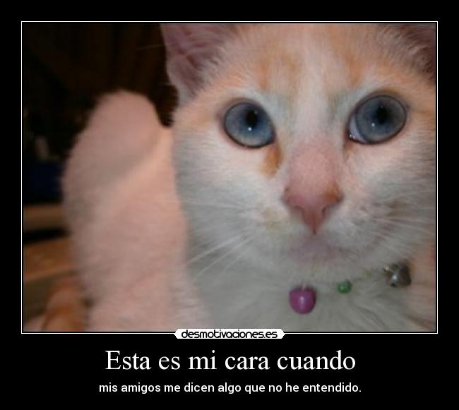 Esta es mi cara cuando | Desmotivaciones