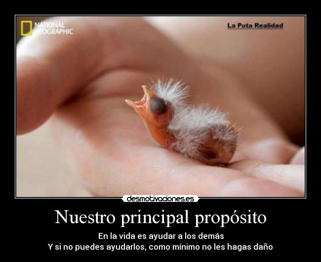 Usuario: Marcktj | Desmotivaciones