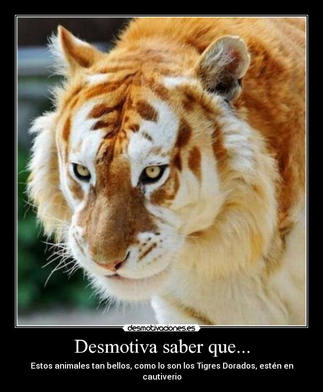 Imágenes y Carteles de FAVOR Pag. 290 | Desmotivaciones