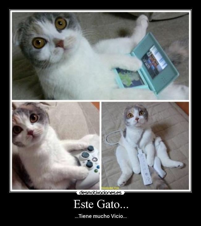 Este Gato... | Desmotivaciones