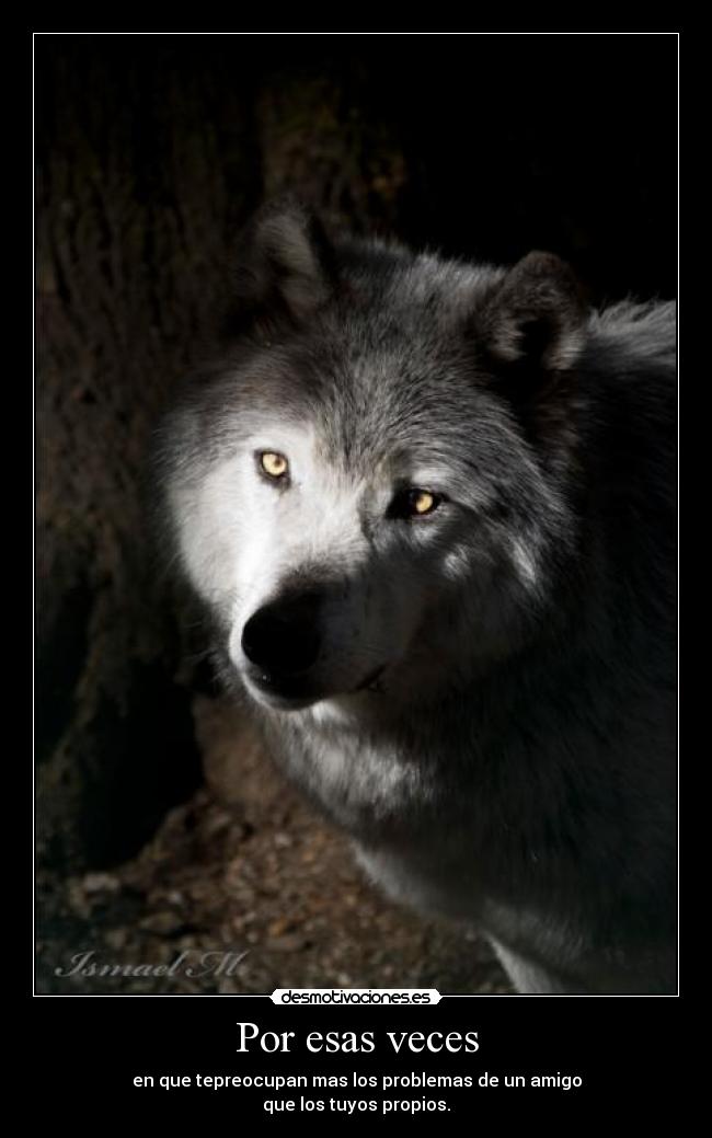 Usuario: Marcktj | Desmotivaciones