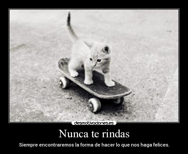 Nunca te rindas | Desmotivaciones Nunca te rindas | Desmotivaciones