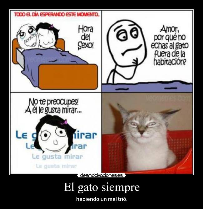 El gato siempre | Desmotivaciones