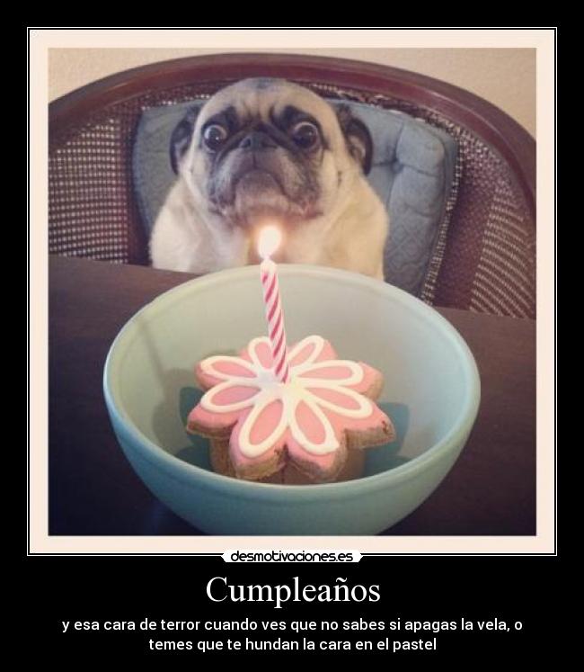 Cumpleaños Desmotivaciones