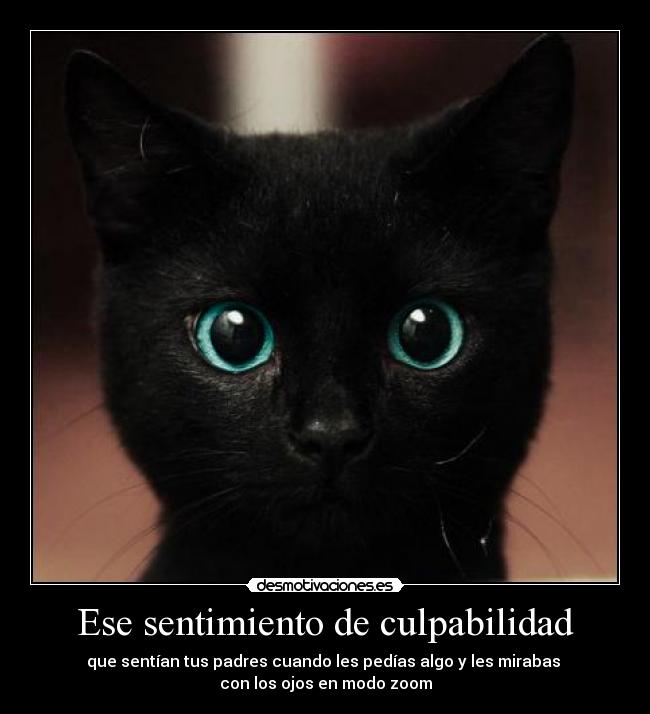 Imágenes Y Carteles De Compras Pag 9 Desmotivaciones