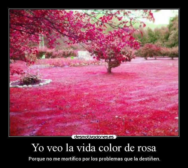Yo veo la vida color de rosa | Desmotivaciones Yo veo la vida color de rosa | Desmotivaciones