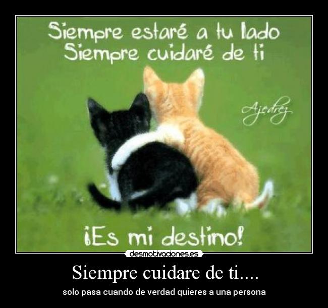 Siempre Cuidare De Ti Desmotivaciones