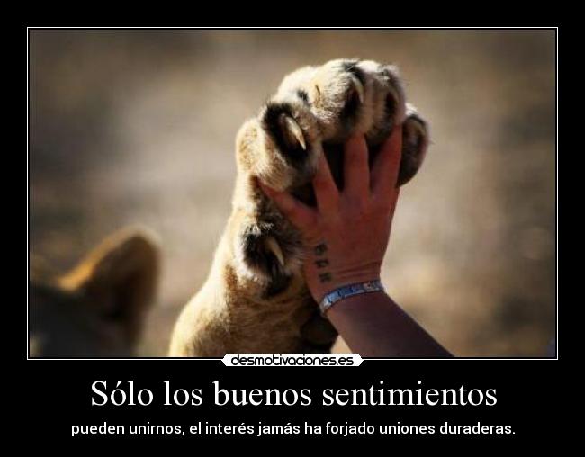Sólo los buenos sentimientos | Desmotivaciones Sólo los buenos sentimientos | Desmotivaciones