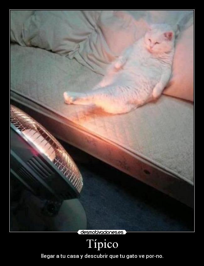 Usuario: E_R | Desmotivaciones