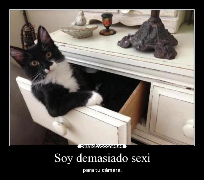 Usuario: E_R | Desmotivaciones