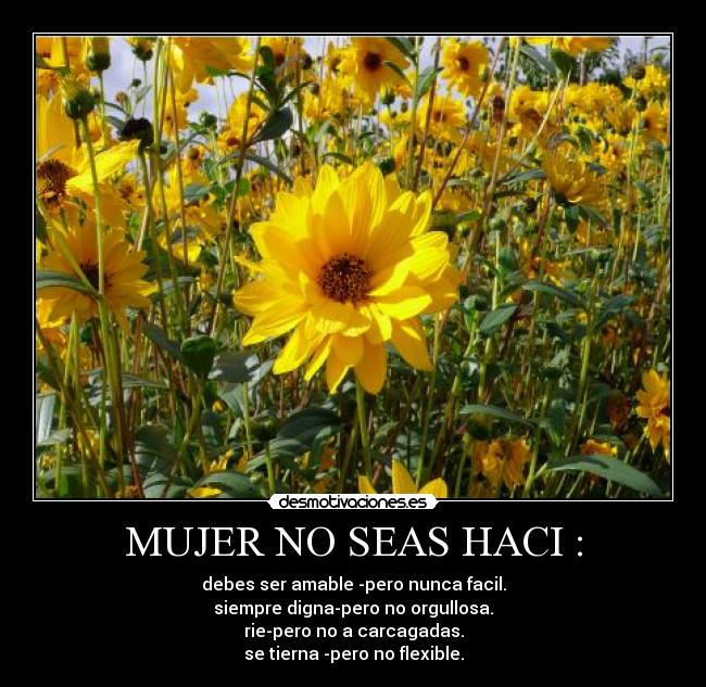 Imágenes y Carteles de HACI Pag. 2 | Desmotivaciones
