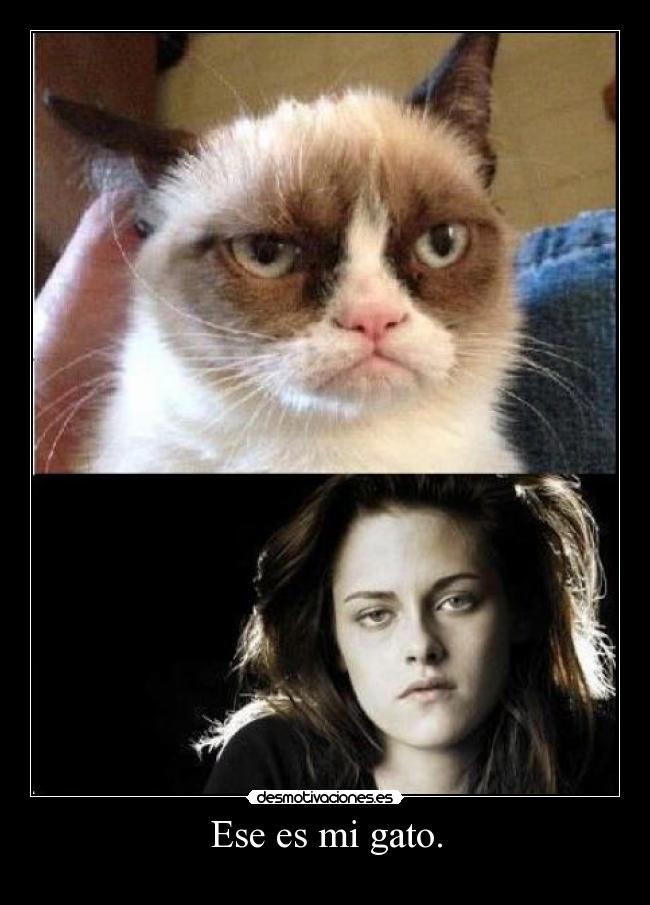 Ese es mi gato. | Desmotivaciones
