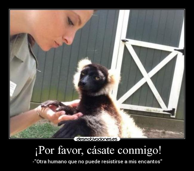 Imágenes y Carteles de FAVOR Pag. 213 | Desmotivaciones