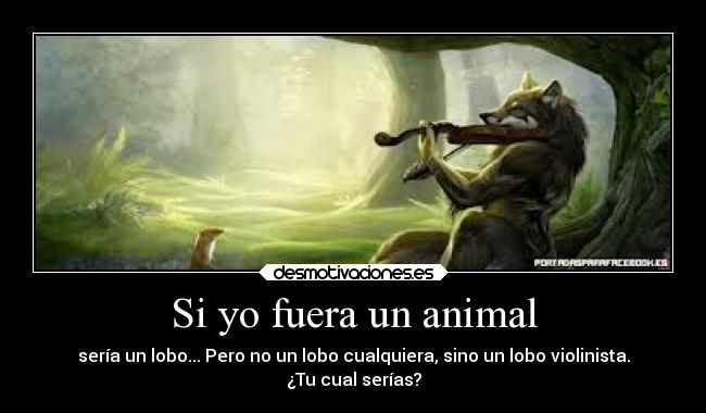 Si yo fuera un animal | Desmotivaciones
