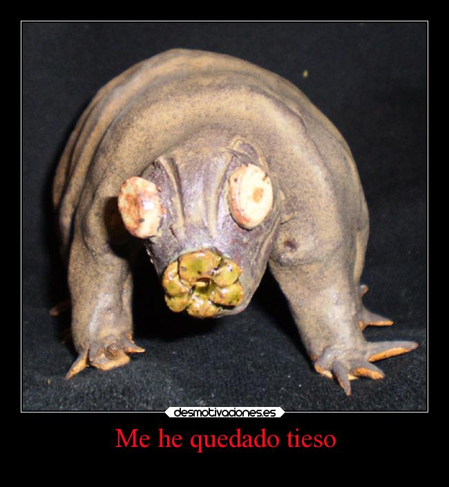 Letters from the Inside by John Marsden - snomass