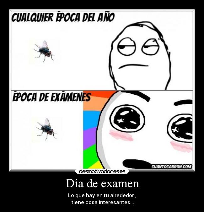 Día de examen | Desmotivaciones