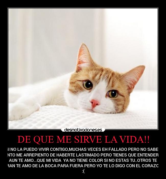 DE QUE ME SIRVE LA VIDA!! | Desmotivaciones