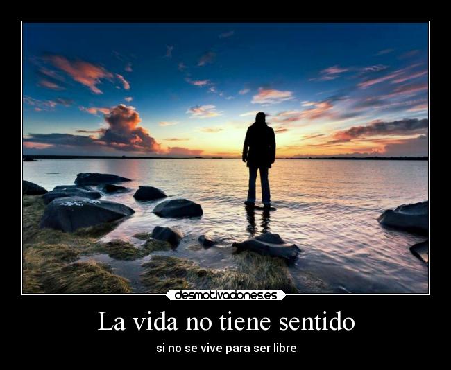 La vida no tiene sentido | Desmotivaciones