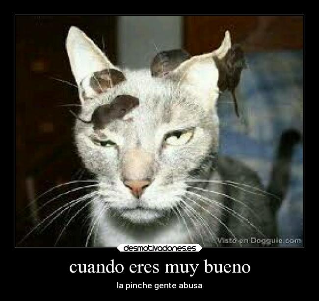 Cuando Eres Muy Bueno Desmotivaciones cuando-eres-muy-bueno-desmotivaciones
