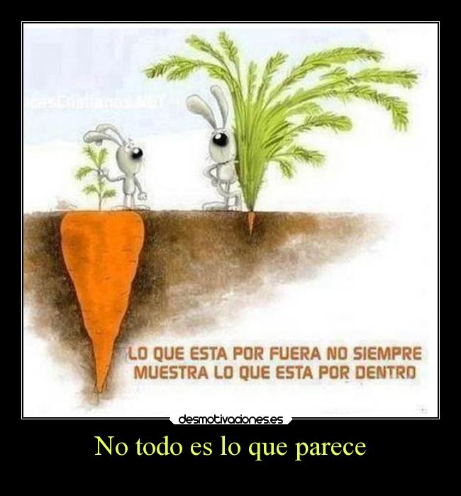 Usuario: desmotivado 15 | Desmotivaciones