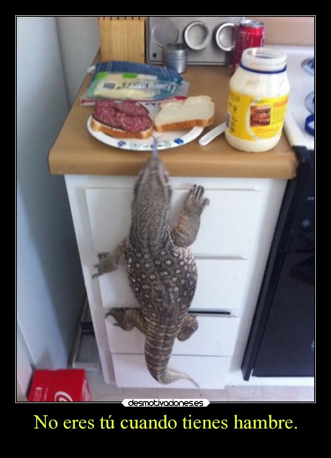 No eres tú cuando tienes hambre. | Desmotivaciones
