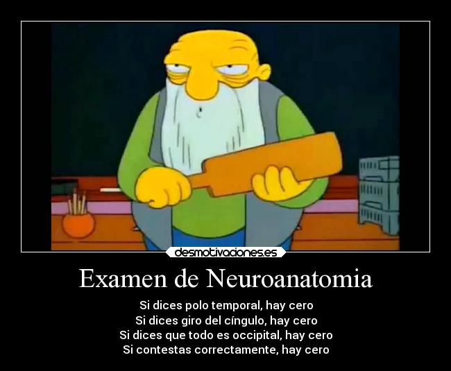 Examen De Neuroanatomia Desmotivaciones