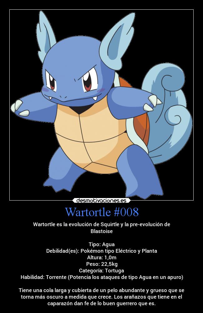 Imágenes y Carteles de SQUIRTLE | Desmotivaciones