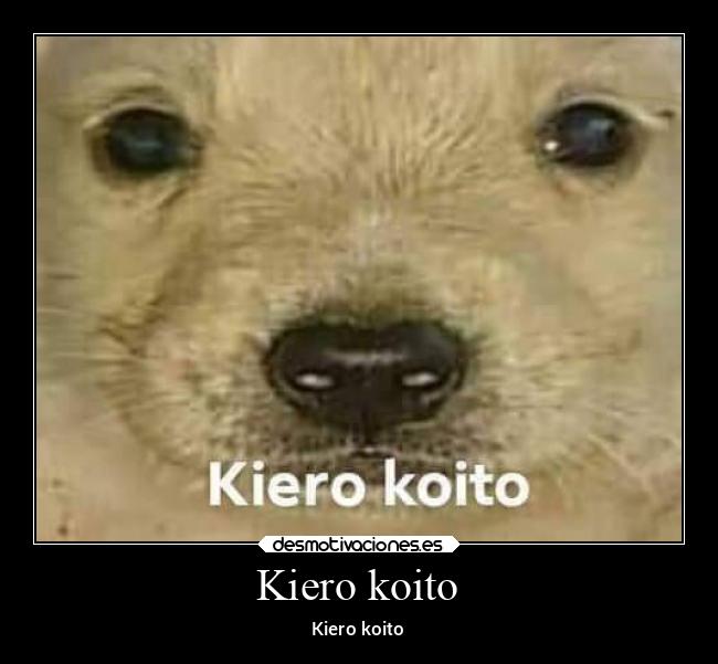 Imágenes y Carteles de KOITO | Desmotivaciones