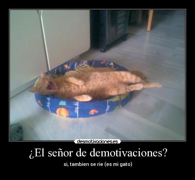 Imágenes y Carteles de DESMOTIVACIONES Pag. 14708 | Desmotivaciones