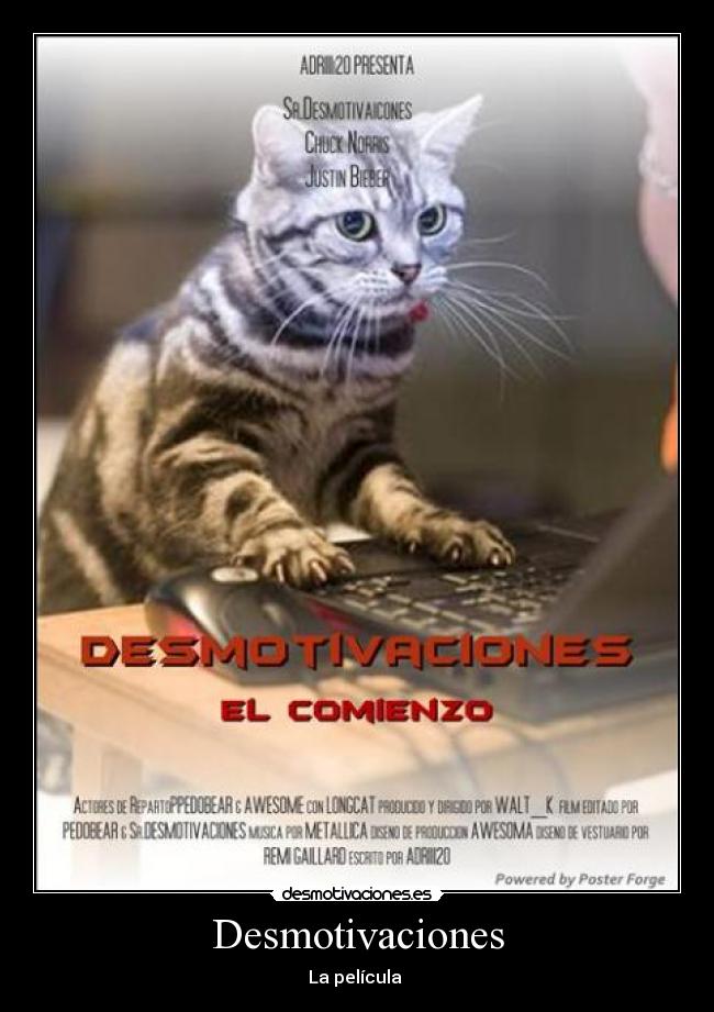 Desmotivaciones | Desmotivaciones