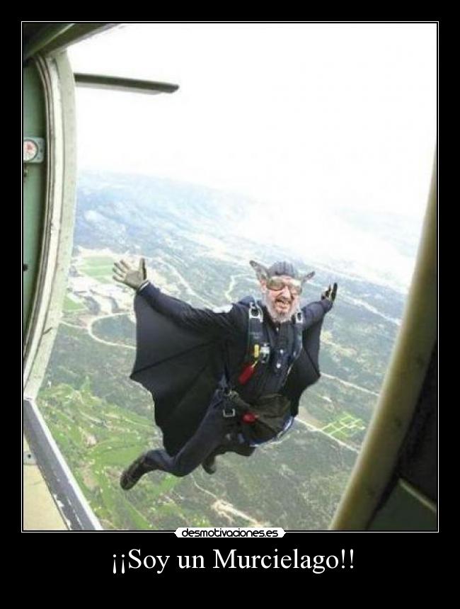 Imágenes y Carteles de MURCIELAGO Pag. 7 | Desmotivaciones