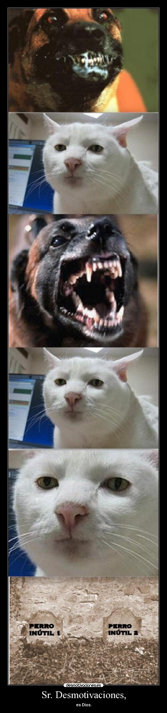Sr. Desmotivaciones, | Desmotivaciones
