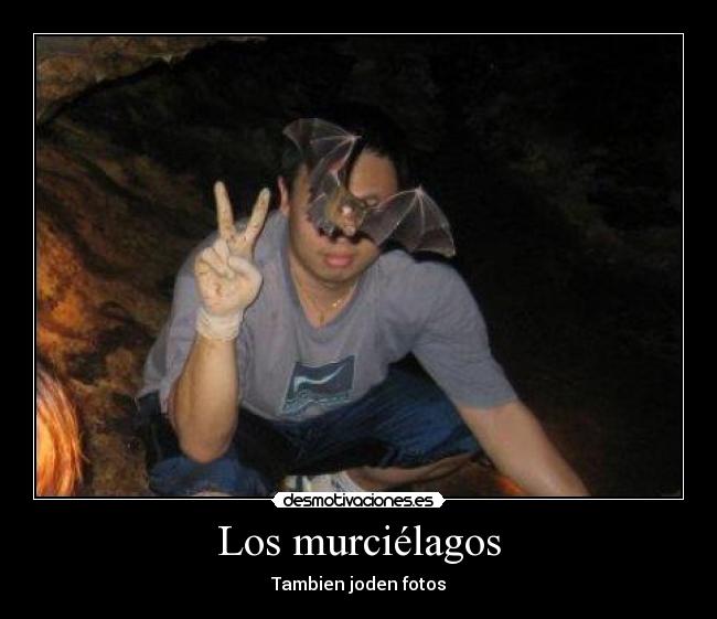 Imágenes y Carteles de MURCIELAGO Pag. 5 | Desmotivaciones