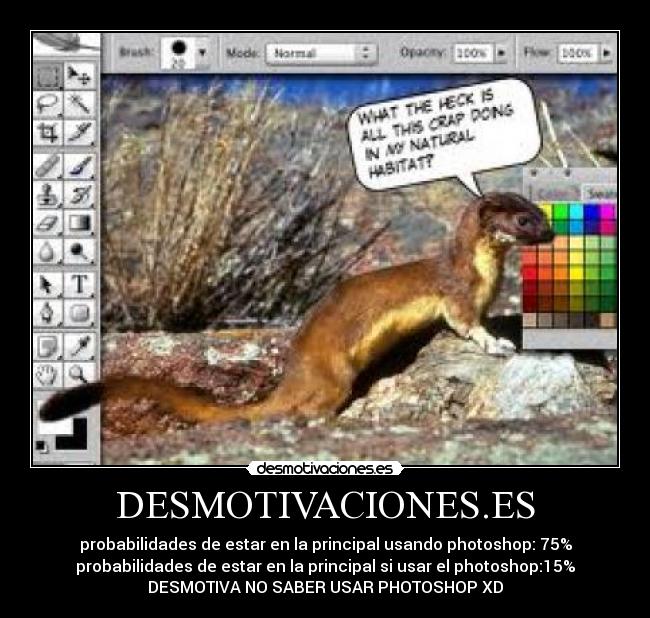 DESMOTIVACIONES.ES | Desmotivaciones