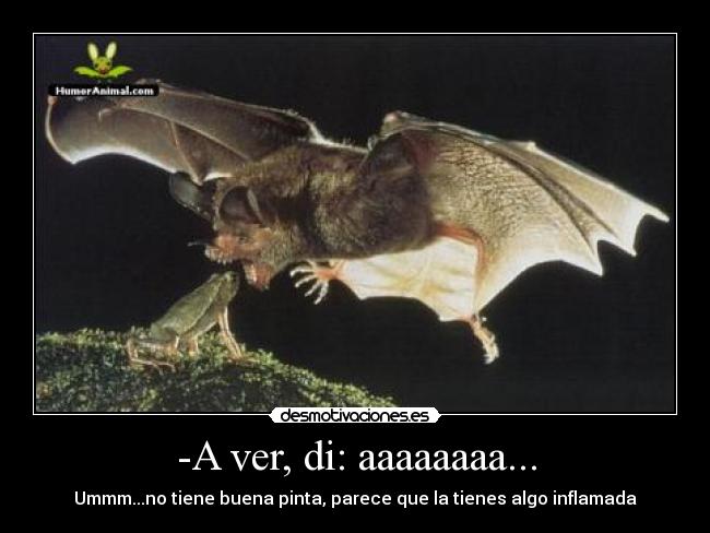 Imágenes y Carteles de MURCIELAGO Pag. 12 | Desmotivaciones