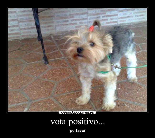 desmotivaciones | Desmotivaciones