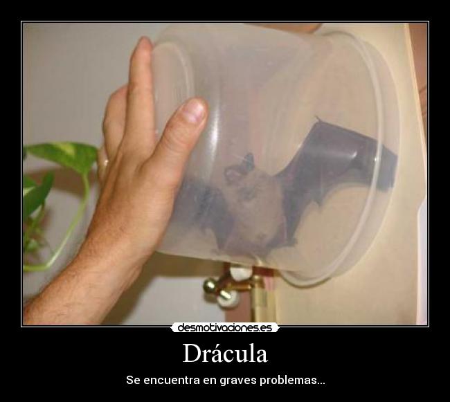 Imágenes y Carteles de MURCIELAGO Pag. 8 | Desmotivaciones