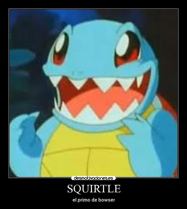 Pokemon Squirtle Memes