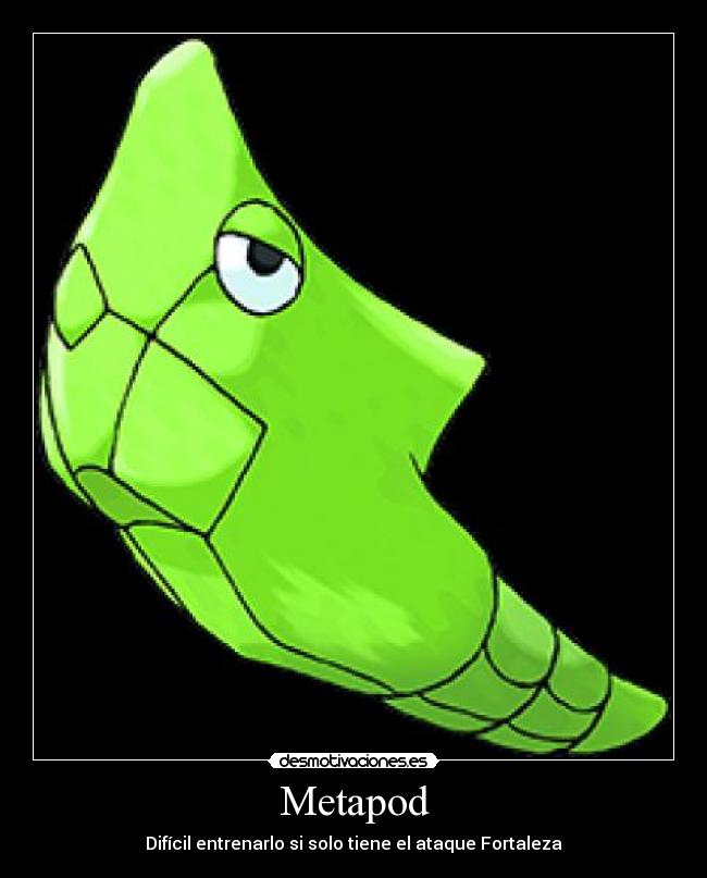 Metapod | Desmotivaciones