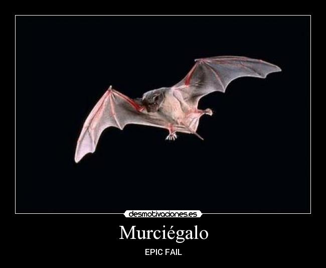 Imágenes y Carteles de MURCIELAGO Pag. 19 | Desmotivaciones