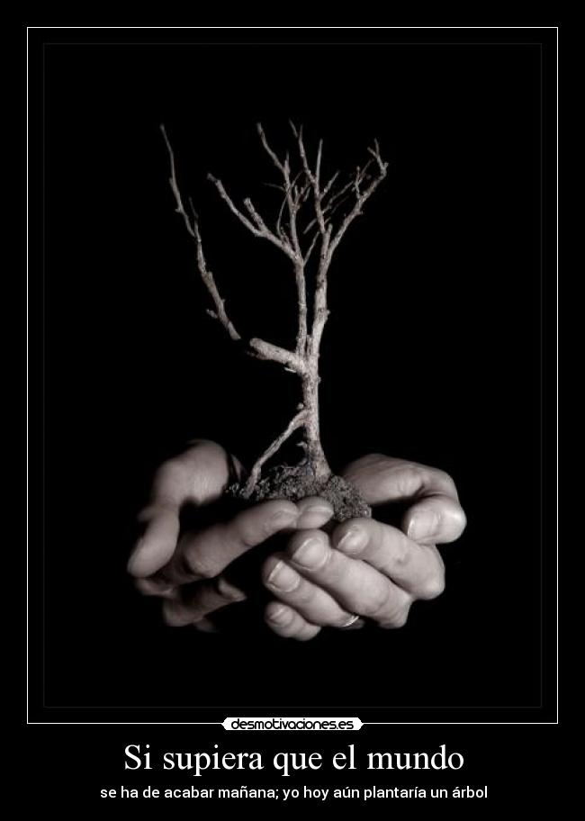 Imágenes y Carteles de PLANTAR Pag. 3 | Desmotivaciones
