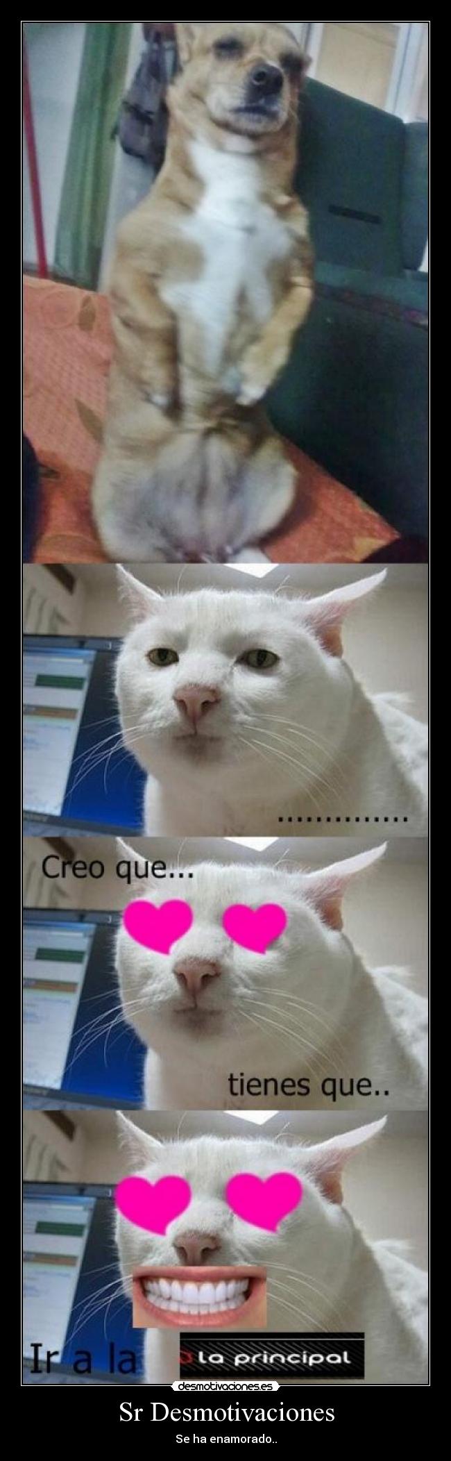 Sr Desmotivaciones | Desmotivaciones