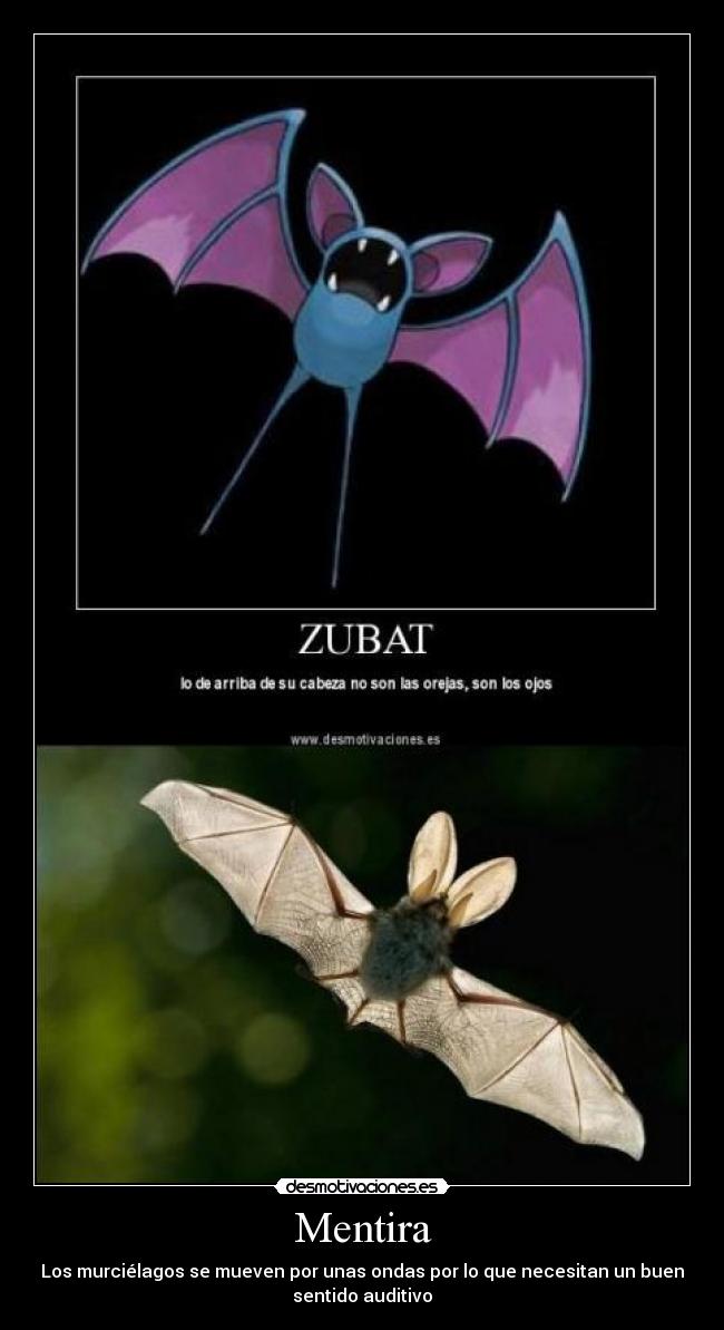 Imágenes y Carteles de MURCIELAGOS | Desmotivaciones