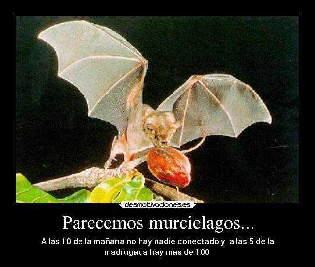 Usuario: Eik0 | Desmotivaciones